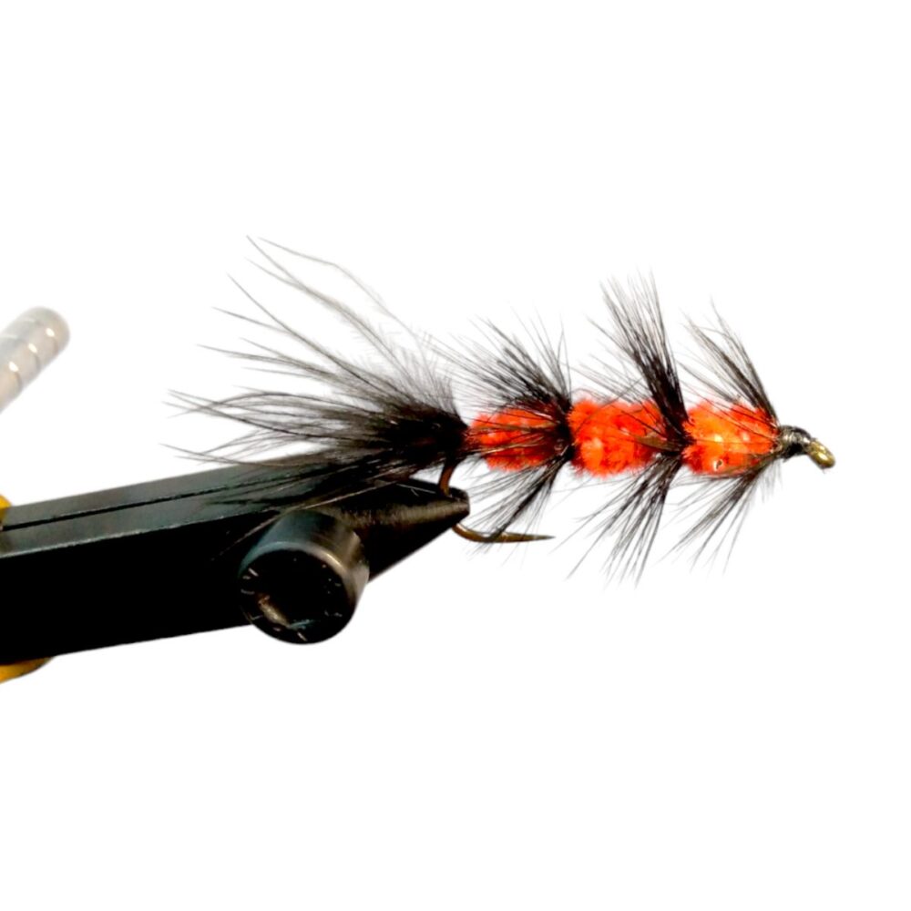 Orange Fuzzy Wuzzy - La Balsa